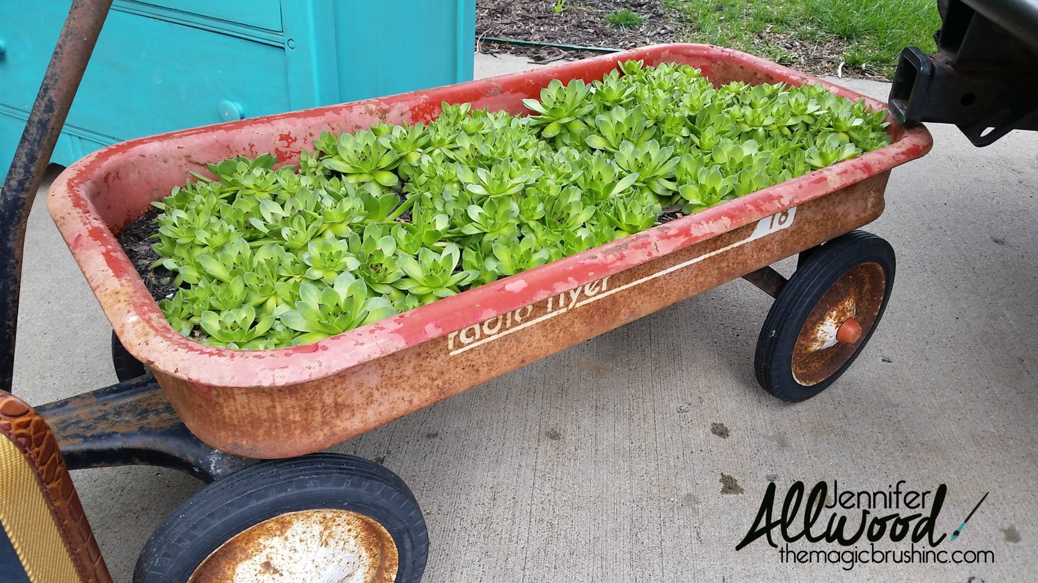 10 creative container ideas .... for people who love the container more ...