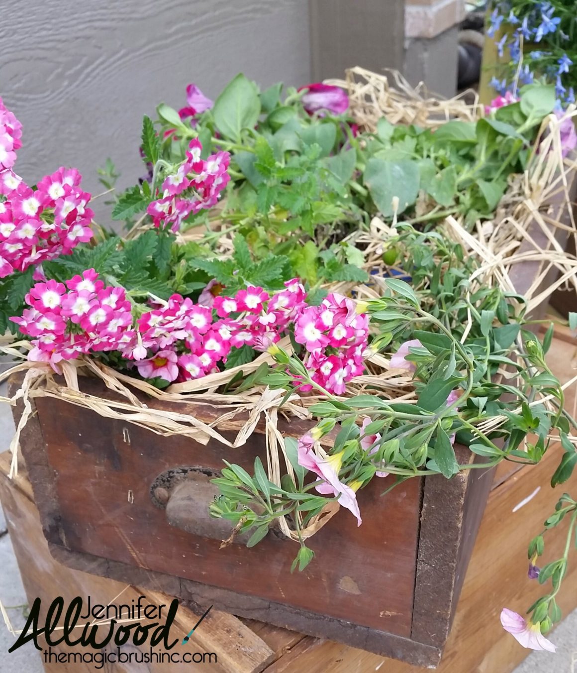 10 creative container ideas .... for people who love the container more ...