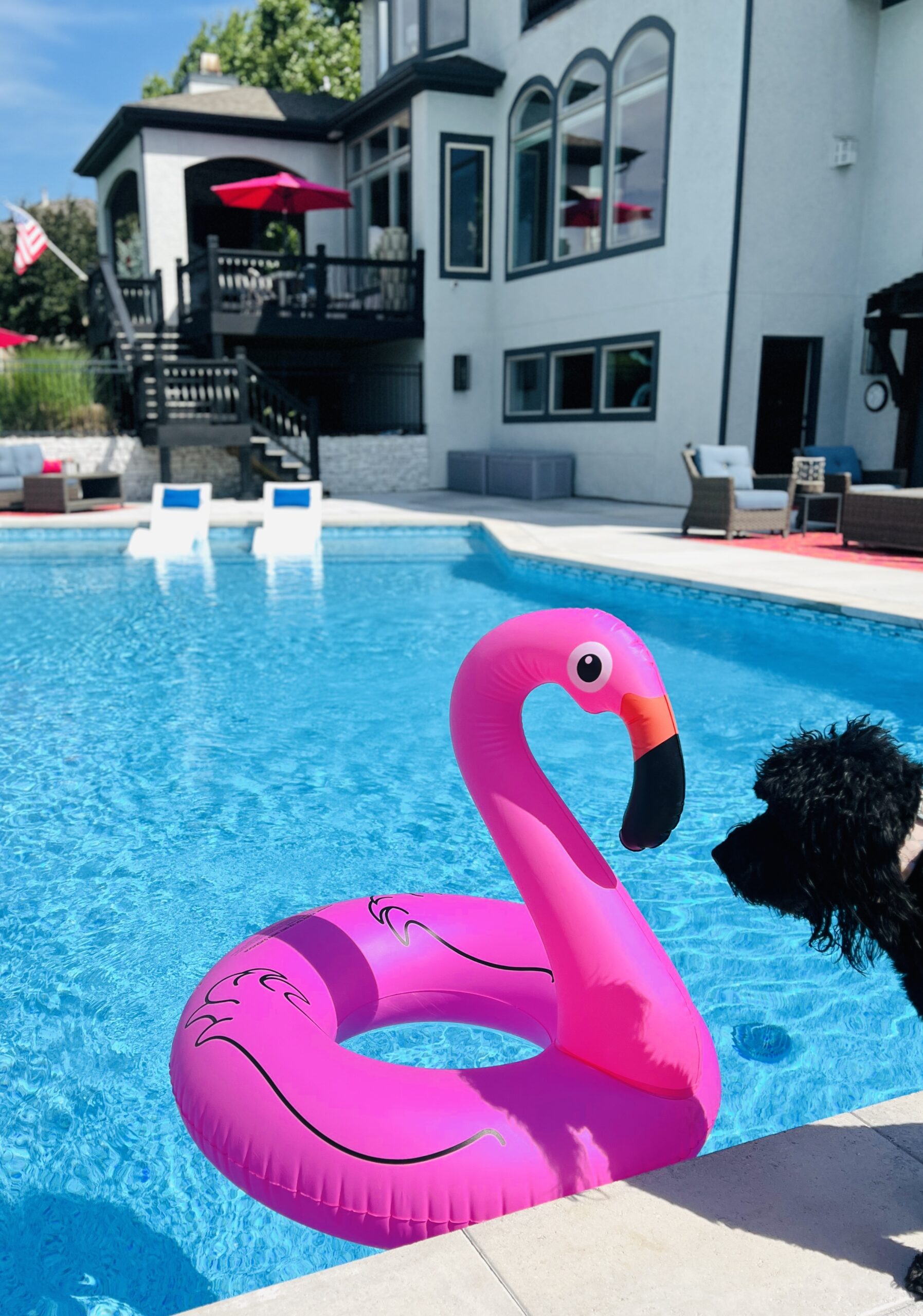 Our HOT PINK Backyard Pool Remodel! - Jennifer Allwood Home